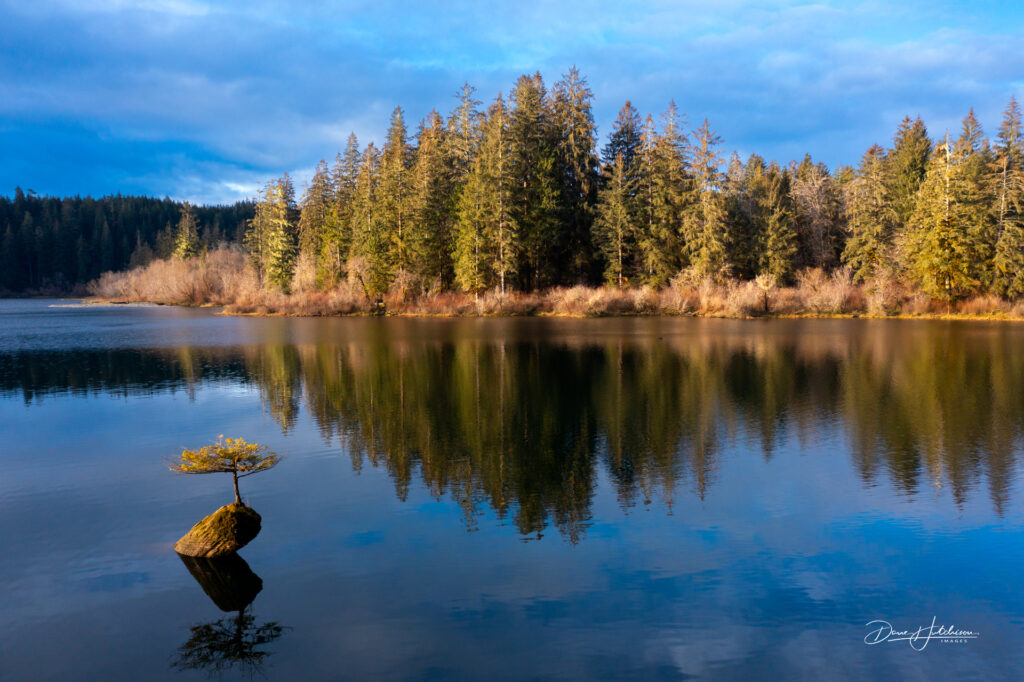 Things to do in Port Renfrew